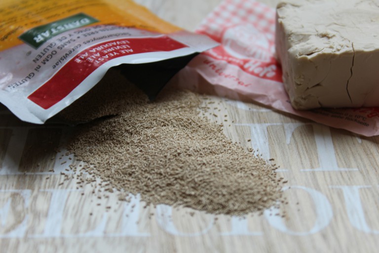 trockene Bierhefe und frische Backhefe (Bild: Karoline Grimm). - befootec